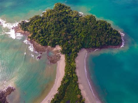 Exploring Manuel Antonio Hiking Trails A Guide To Hiking Adventures In
