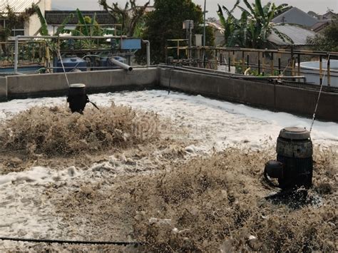 5 Perbedaan Ipal Komunal Dan Domestik Yang Wajib Anda Ketahui