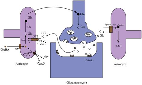 Figure E Generation Of Ros And Rns Nadh Oxidation Respiratory Download Scientific Diagram