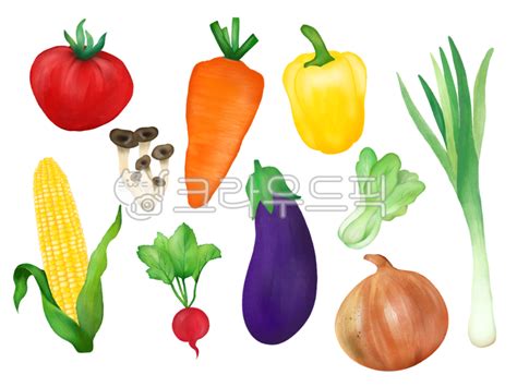 채소일러스트 야채일러스트 양파 옥수수 당근 사진 이미지 일러스트 캘리그라피 고양이고씨작가