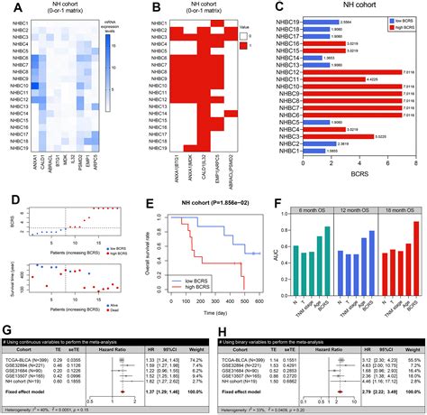 Construction And Experimental Validation Of A B Cell Related Gene Signature To Predict The