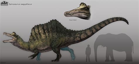 Spinosaurus Concept Design By Maurizio Morosan