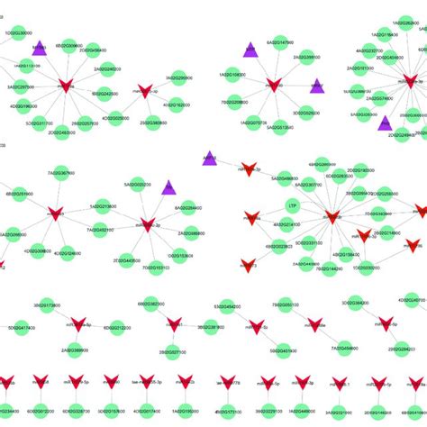 The Predicted Opposite Mirna Mrna Pairs And Functional Analysis A