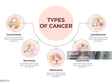 Ilustración De Infografía Del Diagrama Circular De Los Tipos De Cáncer