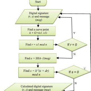 RSA Signature Verification Download Scientific Diagram