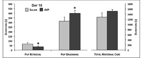 Mean Sem Duration Values For Pup Retrieval Pup Grooming And Total