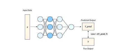 Loss Functions In Neural Networks EXPLAINED