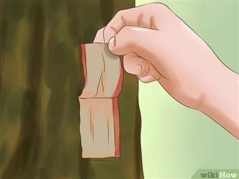 How To Kill A Tree R DisneyDilemma