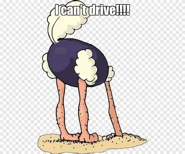 Create Meme Ostrich The Ostrich Head In The Sand Pictures Meme