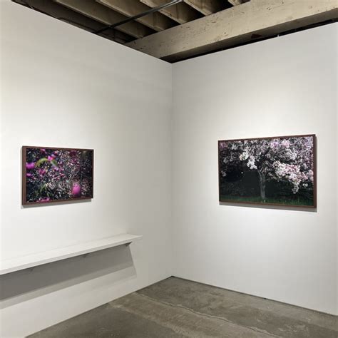 West Gallery Deb Achak All The Colors I Am Inside