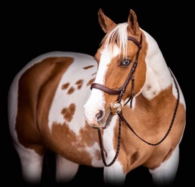 Ella Chedester Photography Tumbex