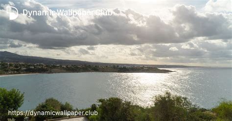 Nn Dynamic Wallpaper Club