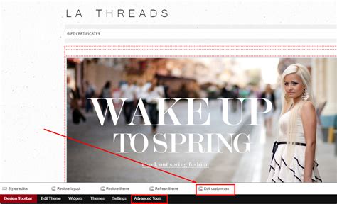 How To Use The Import Css Rules Pinnaclecart Support Pinnaclecart