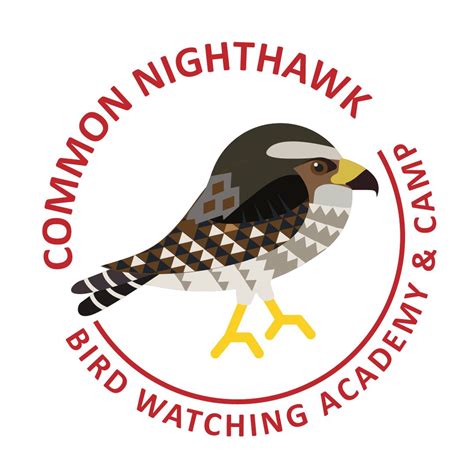 Common Nighthawk My Store