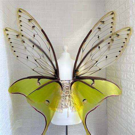 Moth Fursuit Etsy