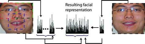 Facial Representation With Lbp Texture Features A Face Image Is With Download Scientific