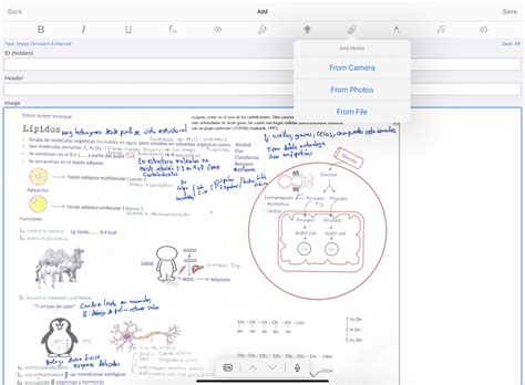 help to find bug problem image occlusion classic ipad version not