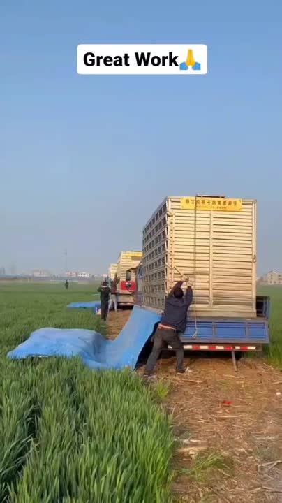 Satya Nallam Posted On Linkedin