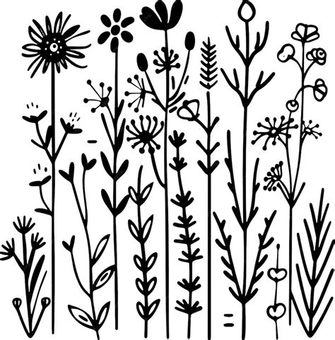 야생 꽃 초원 컬렉션 라인 아트 실루 검은색과 색 터 일러스트레이션 프리미엄 Ai 생성 벡터