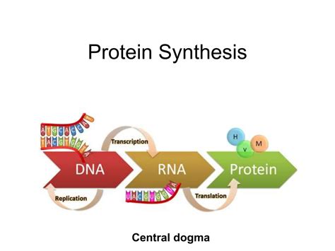 Genetic Code Mutations 35 Naruto Sasuke Cocaìna I Love 8d Tentacle Porn The Best Technician That