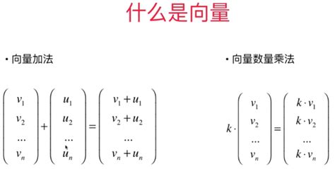 空间的向量 Csdn博客