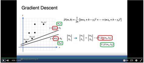 error in illustration in video optimization using gradient descent