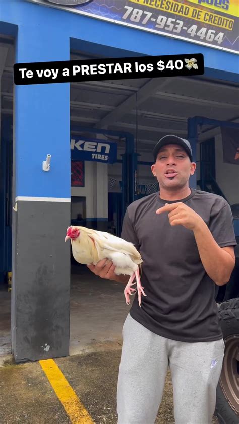 Gallito ¿qué Haces Aquí🐔🥊 Recuerda Que Con 40 Pesitos🤑 Tires2go