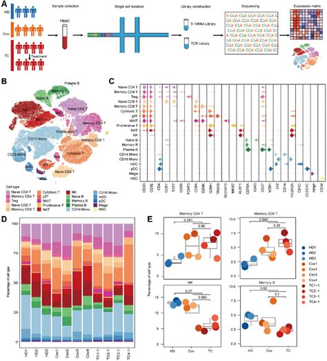 Differences In Cell Compositions By Single Cell Transcriptomes Of Download Scientific Diagram