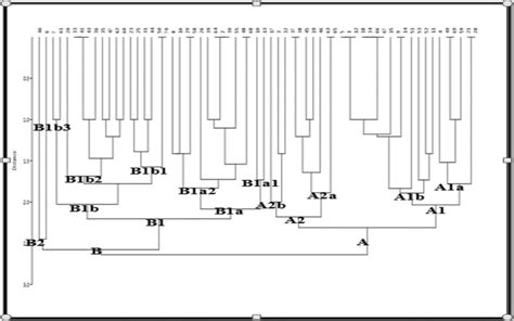 dendrogram generated with dice coefficient and the upgma clustering