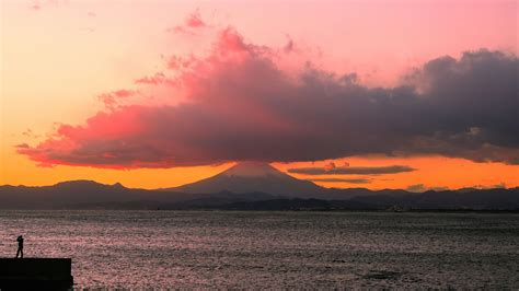 700000 Foto Cewe Cantik Terbaik · Unduh Gratis 100 · Foto Stok Pexels