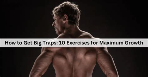 How To Get Big Traps Exercises For Maximum Growth
