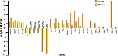 Qrt Pcr Validation Of Expression Patterns Of The Various Differentially