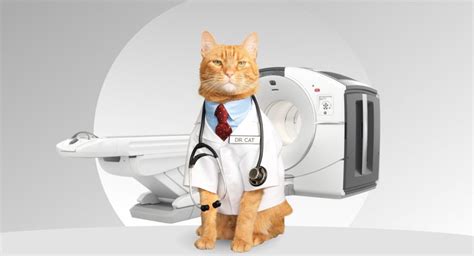Machine Learning And Radiology Trends And Prospects Qulix