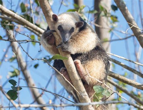 Lotic Ecosystems What Are And Examples Evidence Network