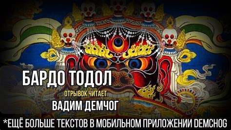 Тибетская книга мёртвых I Бардо Тодол Ченмо I Отрывок читает Вадим ...