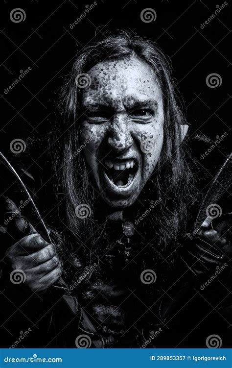 Berserker Stock Image Image Of Warrior Person Army 289853357