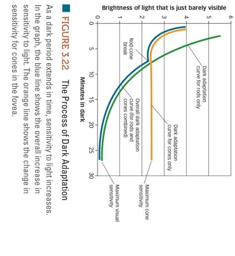 Solved According To The Duplex Theory Of Vision We Use Two