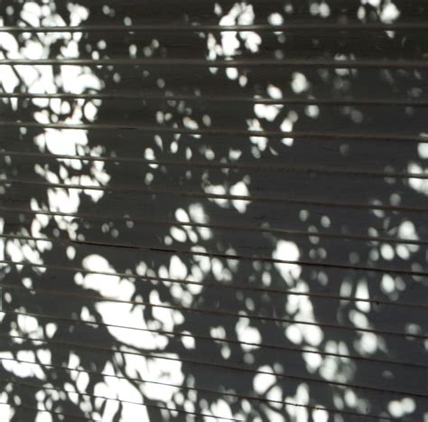 Partial Eclipse Shadows 802701 Ad