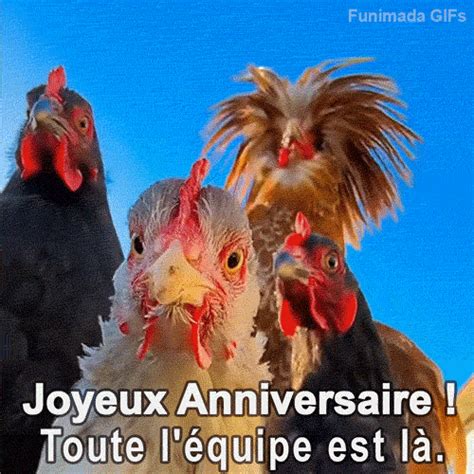 Joyeux Anniversaire Tumblr  Drôle