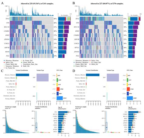 Comparison Of Somatic Mutations Between Different Icd Subtypes A B Download Scientific