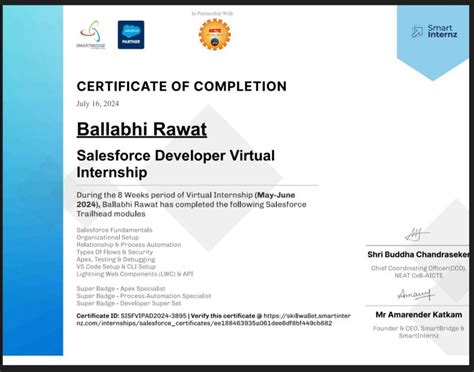 Ballabhi Rawat On Linkedin Salesforce Internship Salesforcedeveloper Techskills…