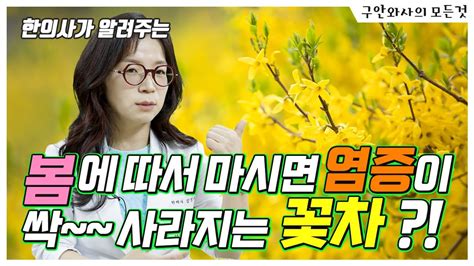 봄에 따서 마시면 염증이 싹 사라지는 꽃 차 개나리꽃차 효능과 주의사항 만드는 법까지 모두 알려드릴게요 Youtube
