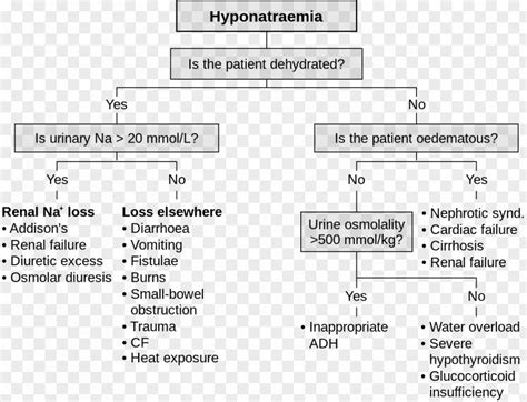 Reasons Hyponatremia Hypernatremia Hypovolemia Flow Diagram Flowchart