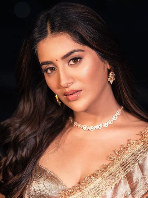 చీరలో అందానికి సొంత సోదరిలా ఆకట్టుకుంటున్న రాశి Tv9 Telugu