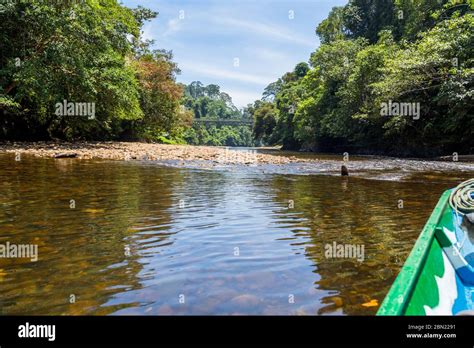 Temburong River Virgin Rainforest Ulu Temburong National Park Brunei