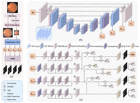 exploiting cross scale attention transformer and progressive edge