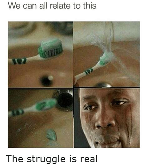 The Struggle Is Real Meme Life Of A Cat The Struggle Is Real Memes