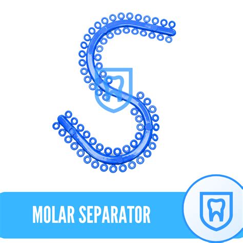 Molar Separator Elastics Efficient Orthodontic Spacing Solution