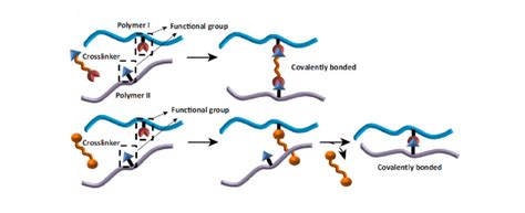 the scheme of chemical cross linking reprinted with some