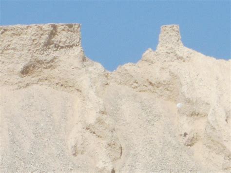 لجنة اعادة اعمار غزة اللجنة القطرية